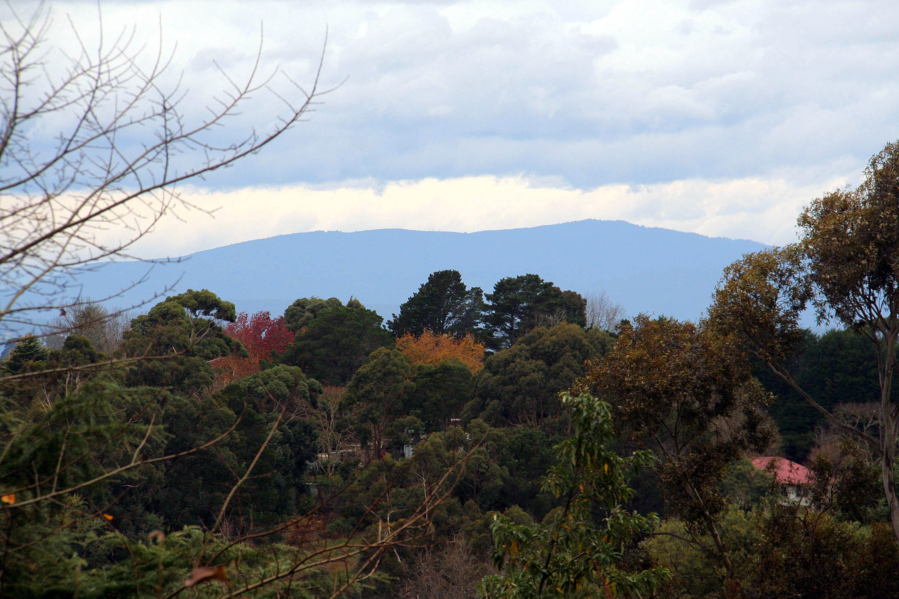 The Patch Home Built For Monbulk Jam Founders, Hits The Market ...