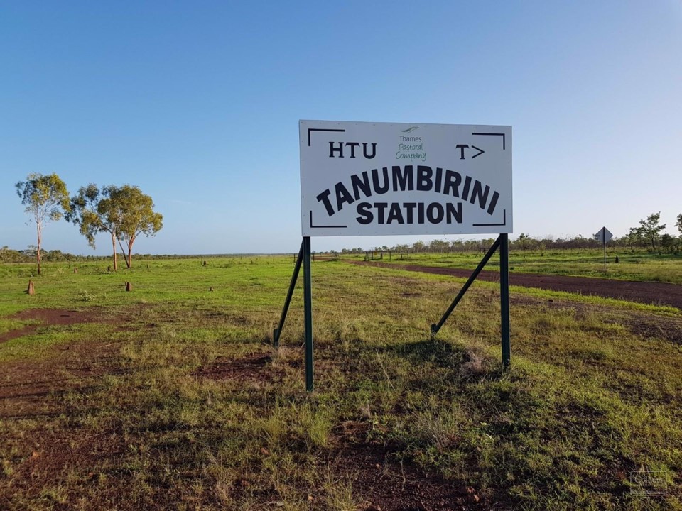 Langenhoven family pays $70 million from NT cattle stations Tanumbirini ...
