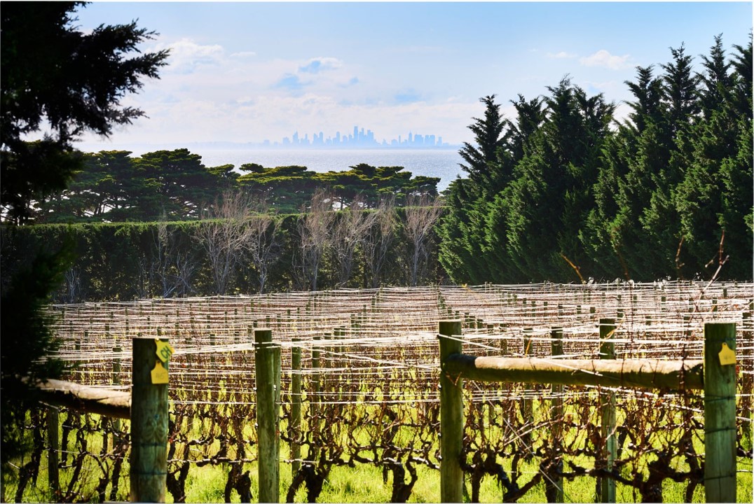 Mount Eliza’s waterfront Morning Star Estate for sale at $40m ...