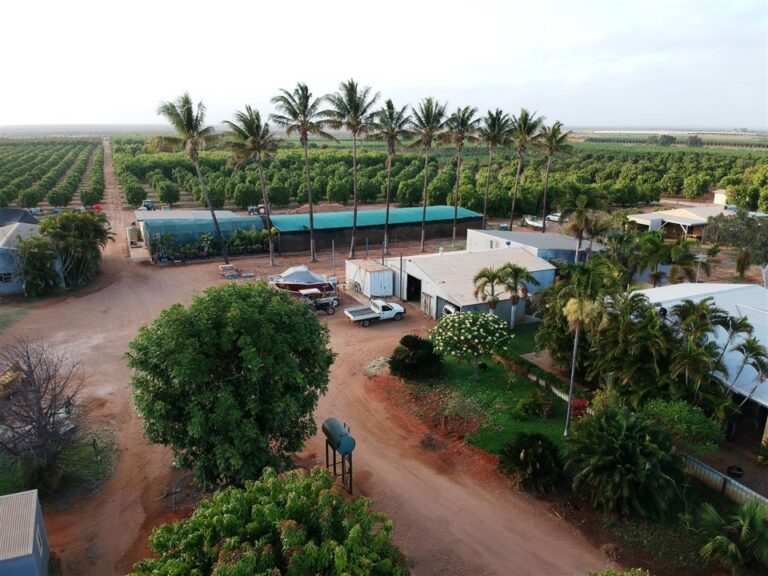 Andrew and Nicola Forrest buy another WA mango farm – realestatesource