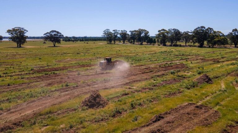 Nutella maker shelves Australian hazelnut farm, lists site ...