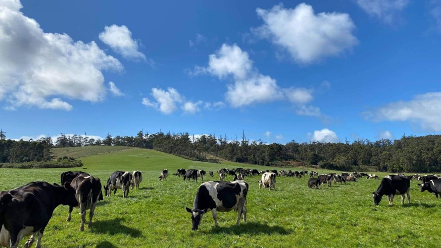 Melbourne fund manager secures enormous dairy farm – realestatesource