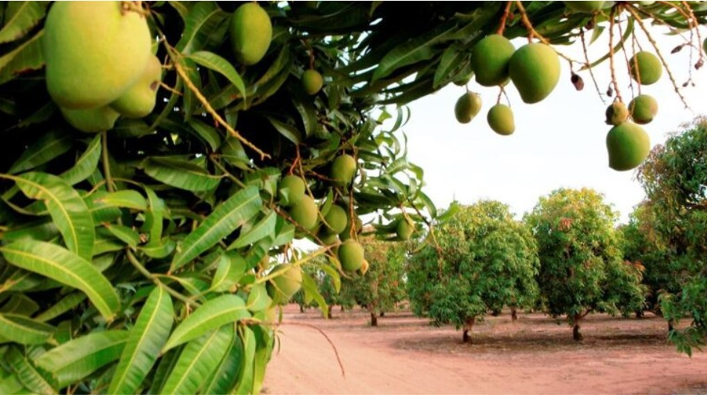 Centuria takes over $444m agriculture fund – realestatesource