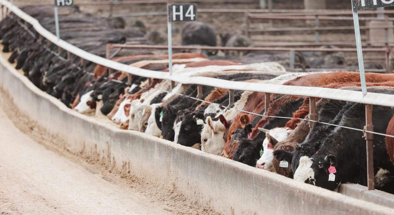 Operators trade $196m feedlot – realestatesource
